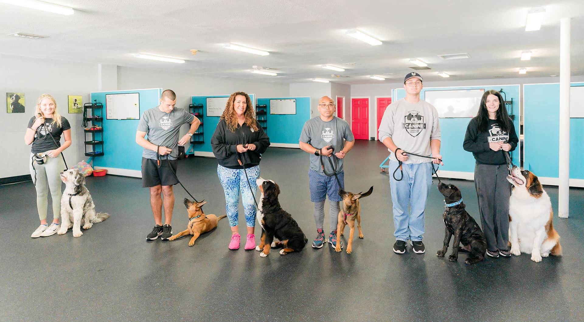 Our Training Facility | Positive Reinforcement Dog Training